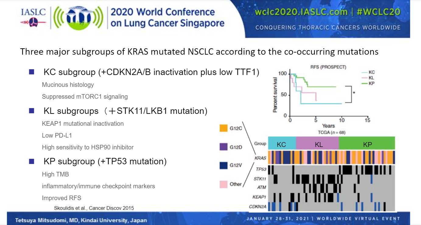 Targeting KRAS in Lung Cancer: The Past, Present, and Future - ILCN.org ... Targeting KRAS in Lung Cancer: The Past, Present, and Future - ILCN.org ...