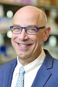 Interim Analysis Shows IDeate-Lung01 Study Met Primary Endpoint - ILCN ...